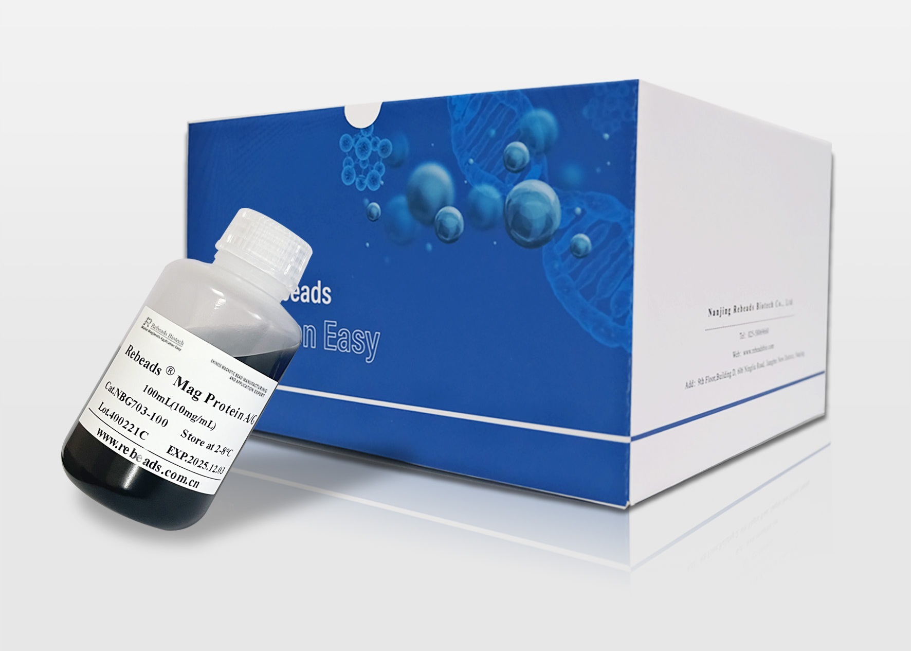 High Sensitivity Mag Protein A/G Beads for Antibody Purification